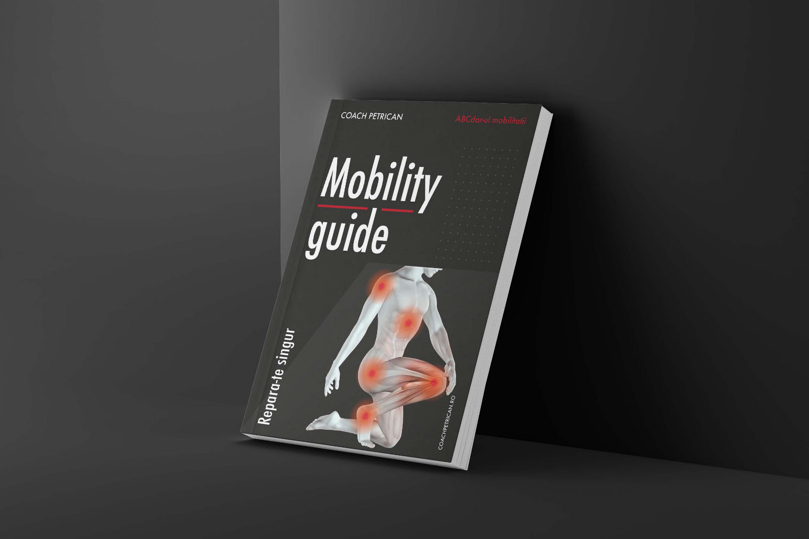 Mobility guide – coachpetrican